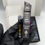 MR GAS DISPOSABLE - MR GAS CARTS - MISTER GAS