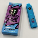 MR GAS DISPOSABLE - MR GAS CARTS - MISTER GAS
